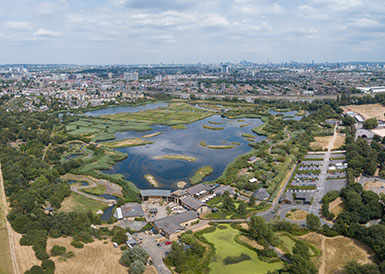 Celebrating 20 years of the London Wetlands Centre