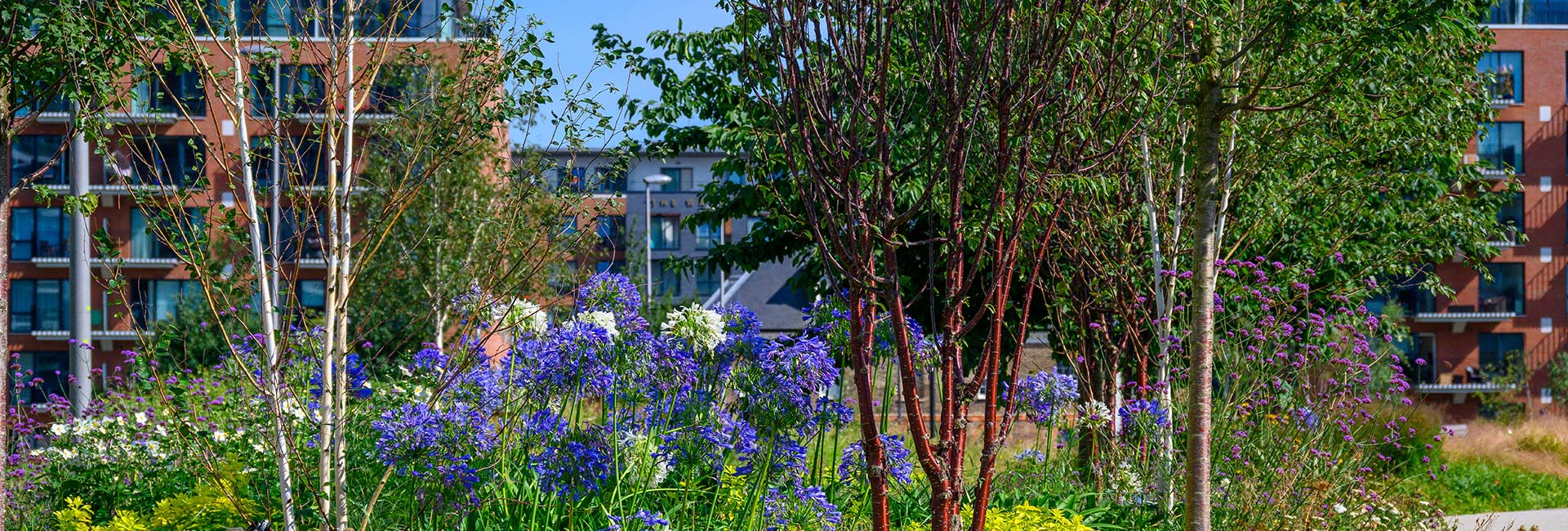 Berkeley Property Developers | Berkeley Group