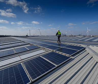 Climate Action | Our Vision 2030 | Berkeley Group
