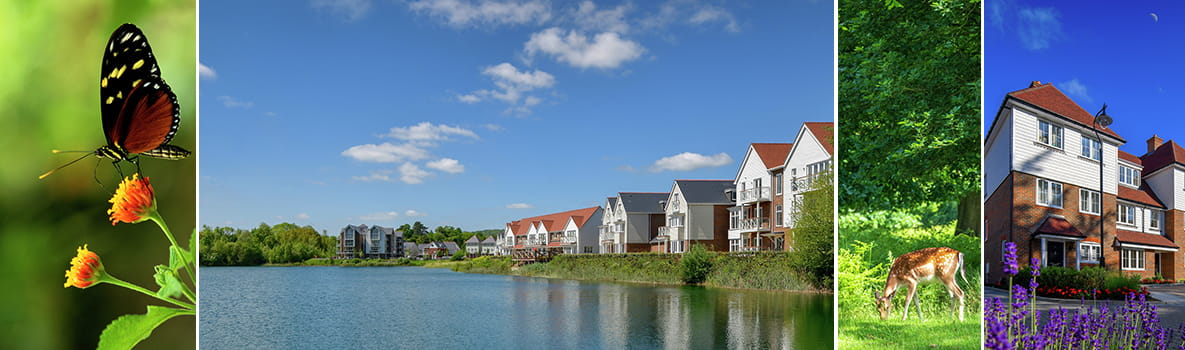 New Homes Kent | Berkeley Developments
