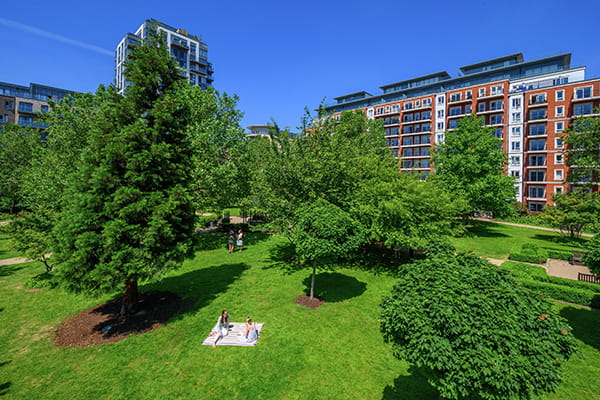 beauford developments ltd