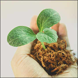 Highcroft | New Homes in Oxfordshire | Wallingford | Berkeley Group