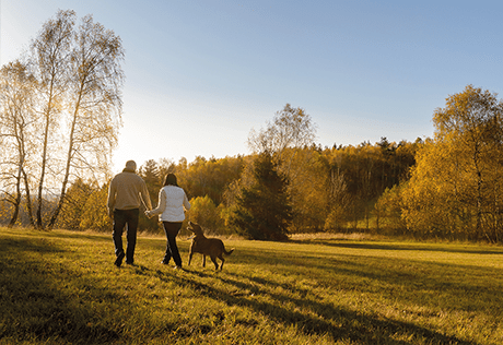 Knights Quarter | New Build Homes Winchester | Berkeley Developments